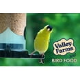 Valley Farms White Millet Wild Bird Food - Walmart.com