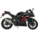 "X-Pro 250cc Motorcycle, 6-Speed Manual, Electric Start, 17"" Wheels ...