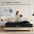 Crayan Queen Mattress 10 Inch Memory Foam Hybrid Mattress In A Box Individual Pocket Spring