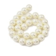 1 Strand Round Shell Pearl Beads Strands Polished Beige 14mm Hole: 0 ...