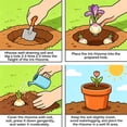 Iris for Planting-(Non-Artificial)-Beginner-Friendly Cultivation, Rapid ...