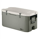 Coleman 205-Quart Esky Cooler, Khaki 5893 - Walmart.com