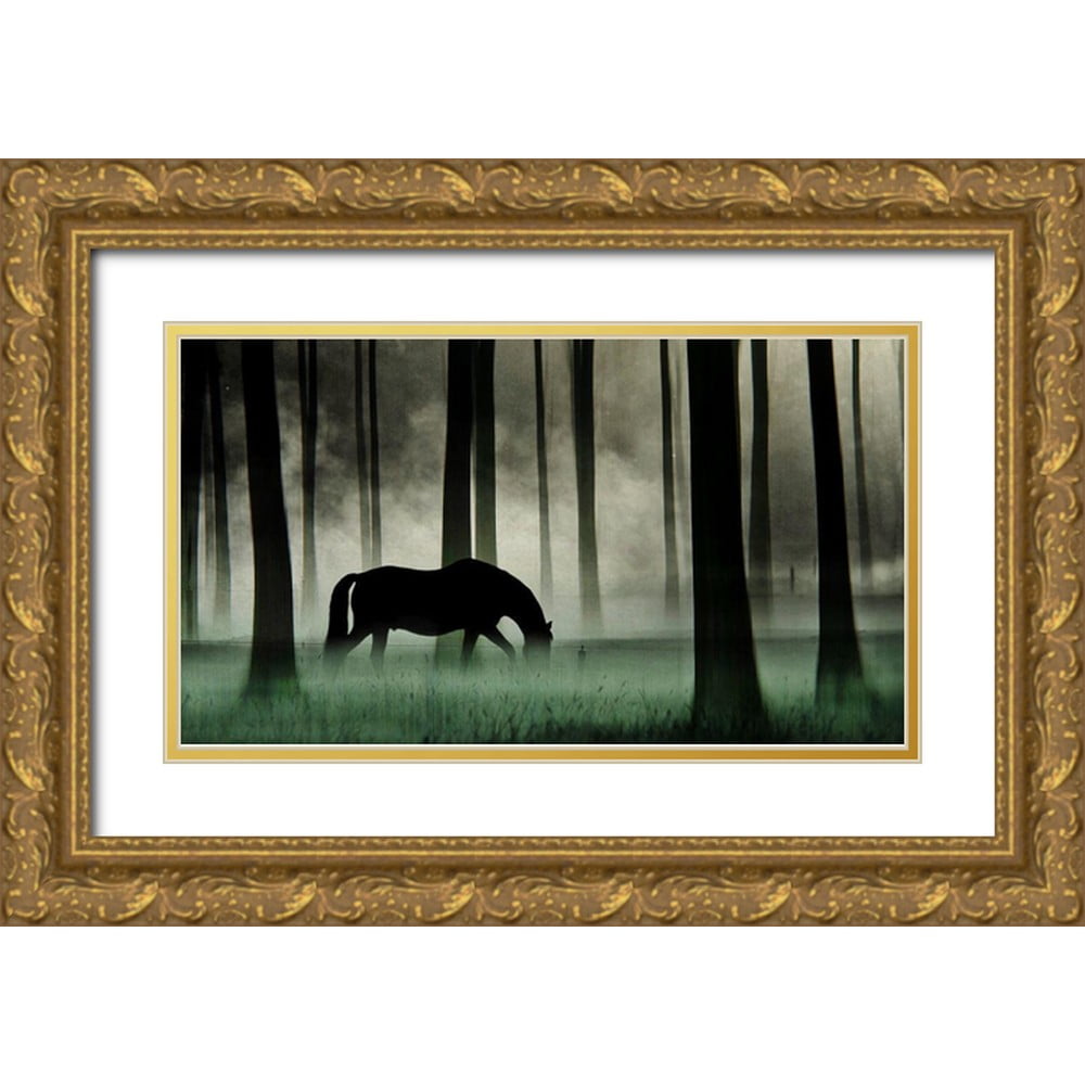 Annemieke 24x15 Gold Ornate Wood Framed with Double Matting Museum Art ...