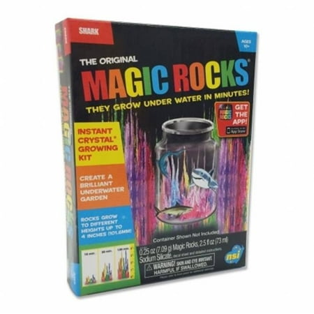Toysmith 29136 Magic Rocks Kit - Walmart.ca