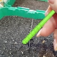 Modern Grower 6 Cell Starting Trays Germination Trays Tomato Seeder For Canning Humidity Dome