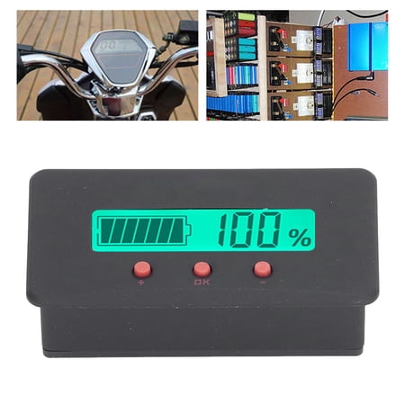 Coulomb Meter Battery For 8-120V Batteries With 100A Shunt High ...