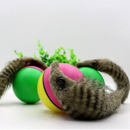 Jumping Rolling Chasing Moving Pet, Weasel Activation Ball Kids Beaver ...