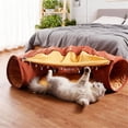 All-in-One Foldable Cat Tunnel Bed, Multi-Functional Pet Playpen with ...