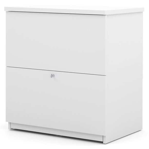 Pemberly Row Transitional 2 Drawer Lateral File Cabinet in White ...