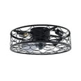 18'' Low Profile Caged Ceiling Fan with Lights Remote Control, Enclosed ...