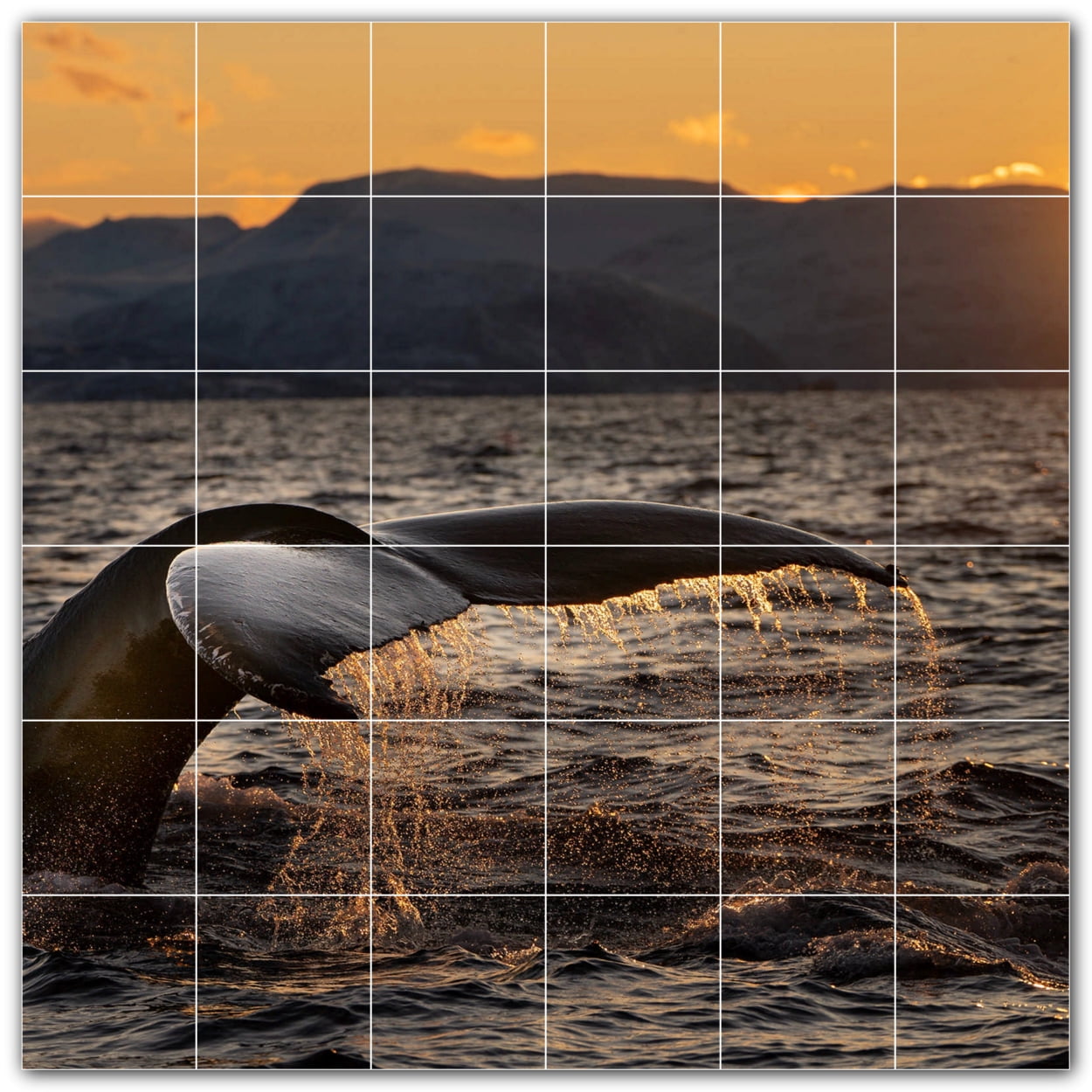 Picture-Tiles.com: Whale Ceramic Tile Wall Mural WAL501185-66L. 48"W x ...