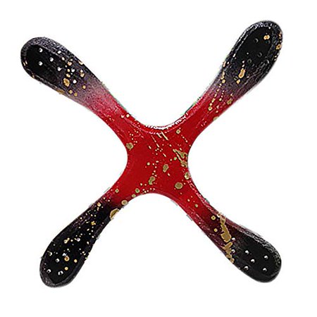 Langs Japan (RANGS) First catch boomerang for introductory Langs ...