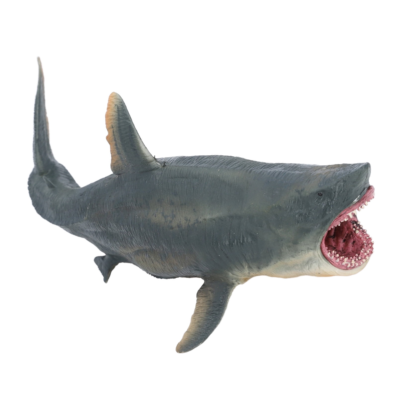Juguete De Tiburón, Mejor Aprendizaje, Modelo De Tiburón, Juego ...