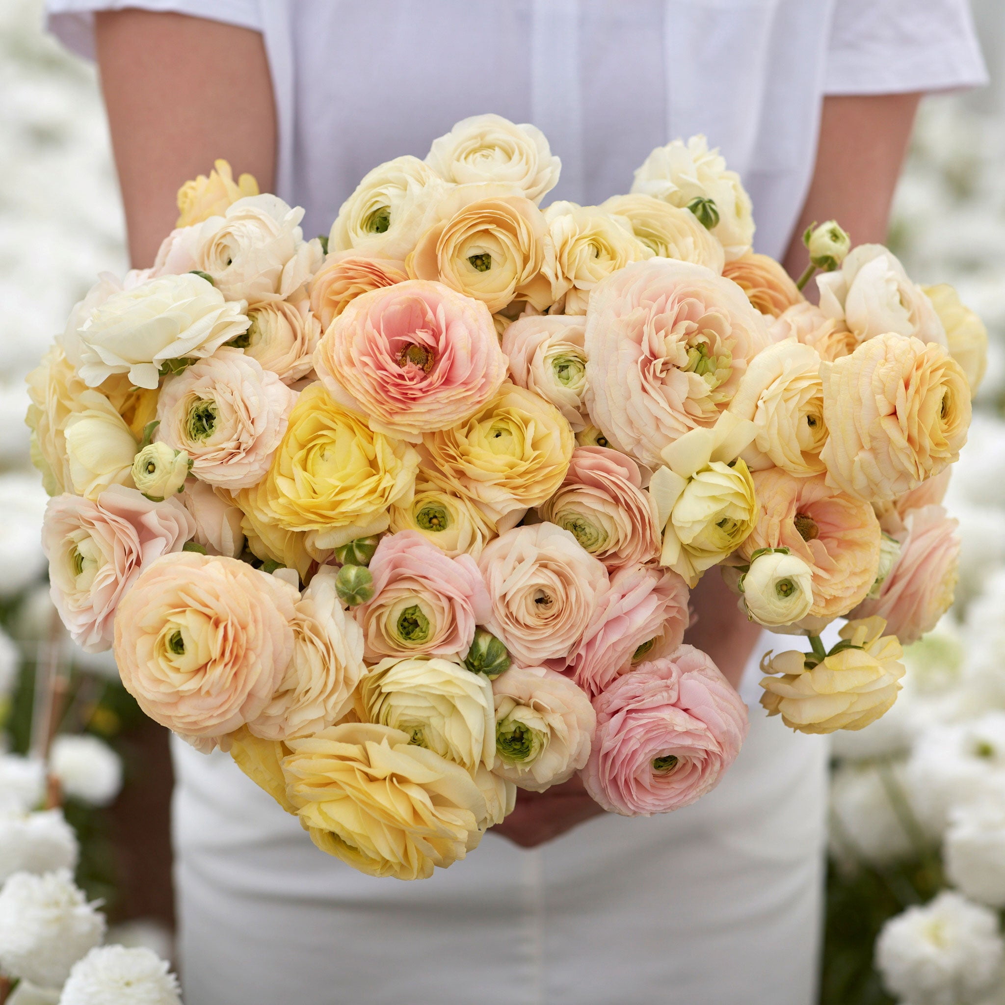 Peach Ranunculus Bouquet