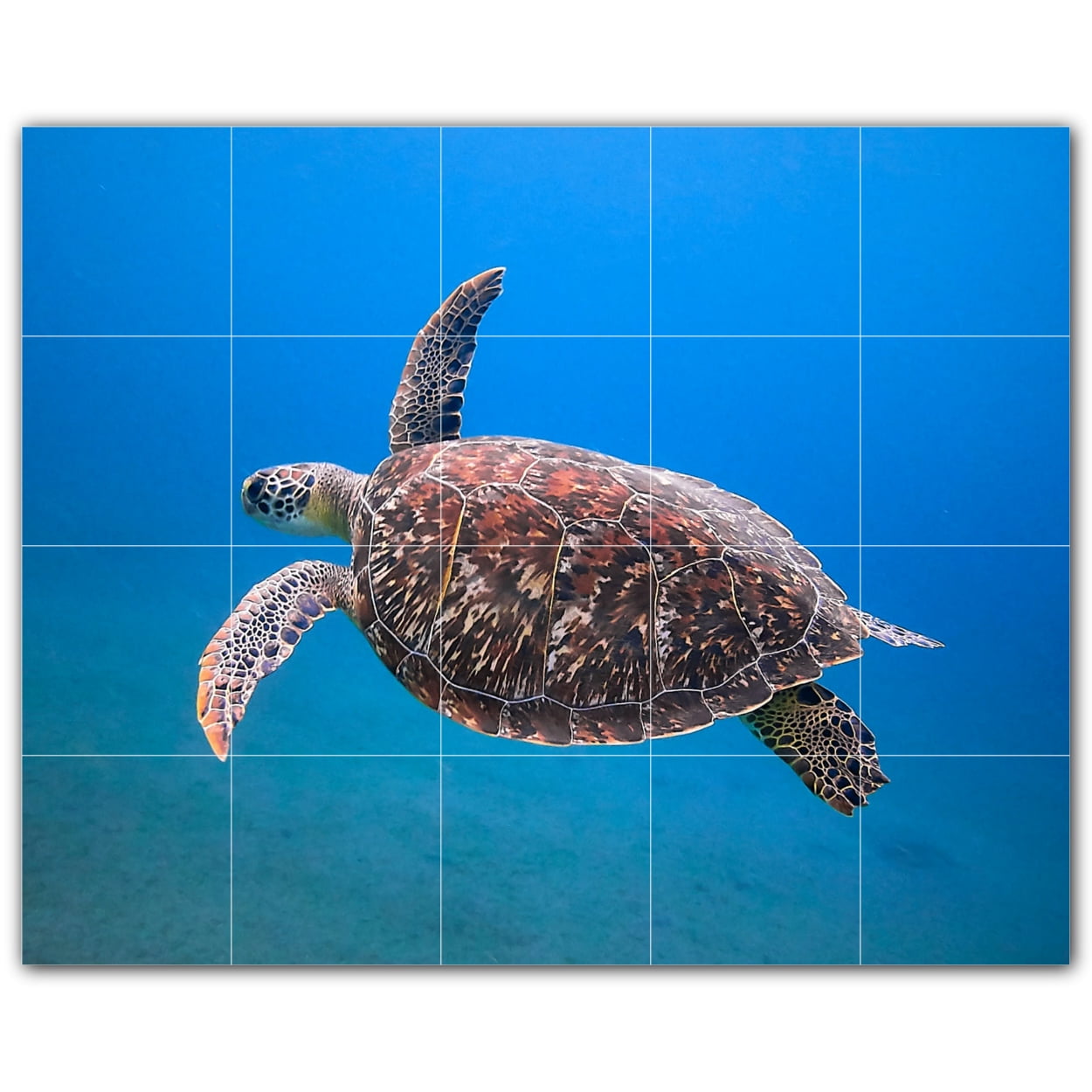 Picture-Tiles.com: Turtle Ceramic Tile Wall Mural WAL501070-54XL. 60"W ...