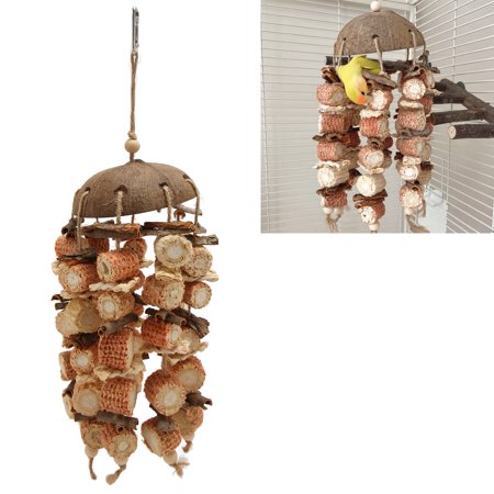 Chewing Toy, Interactive Coconut Shell Bird Chewing Toy Relieve Boredom ...