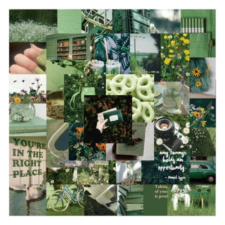 Lepai 50PCS Large Green Vsco Stickers for Water Bottles Laptop ...