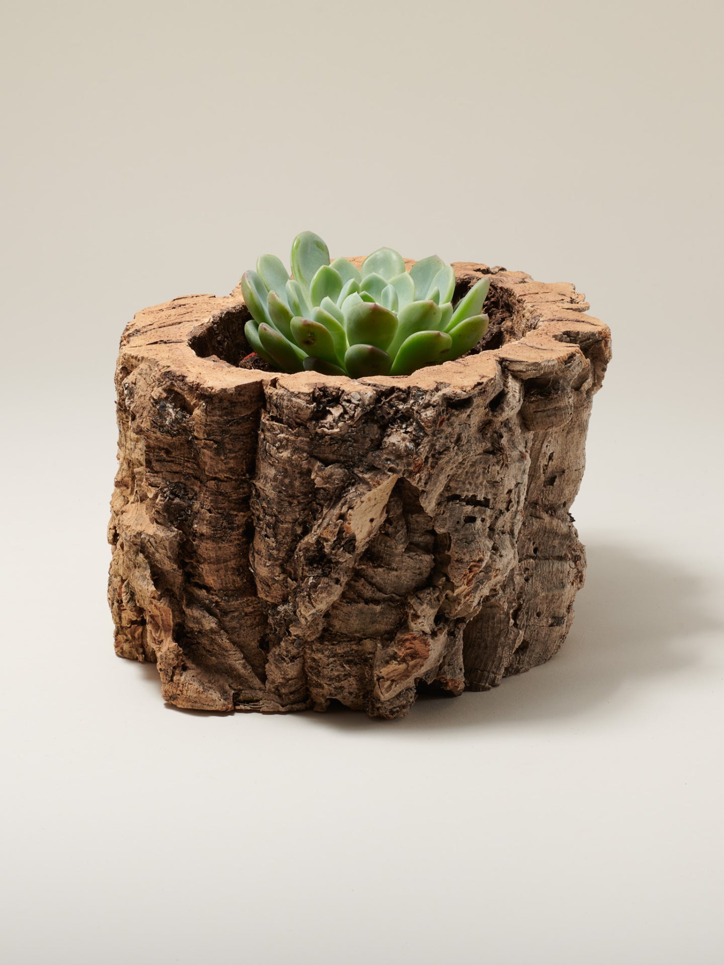 Natural Cork Bark Planter - Walmart.com