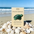 ZHMRFG 2026 Green Turtle Crystal Greeting Card Ornament 2.75In New Year ...
