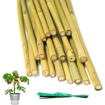 Artrylin 20Pcs Natural Bamboo Stakes with 20Pcs Green Ties，45cm Eco ...