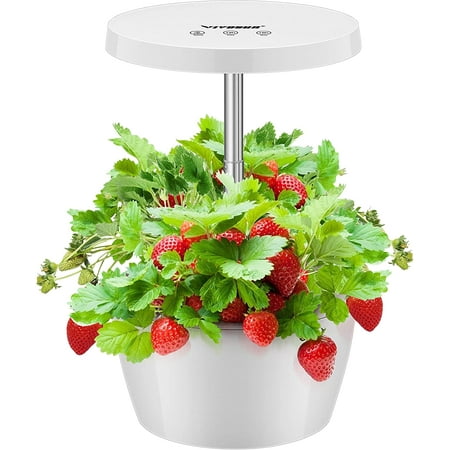 Indoor Herb Garden Kit Hydroponics Growing System Hydroponics Growing ...