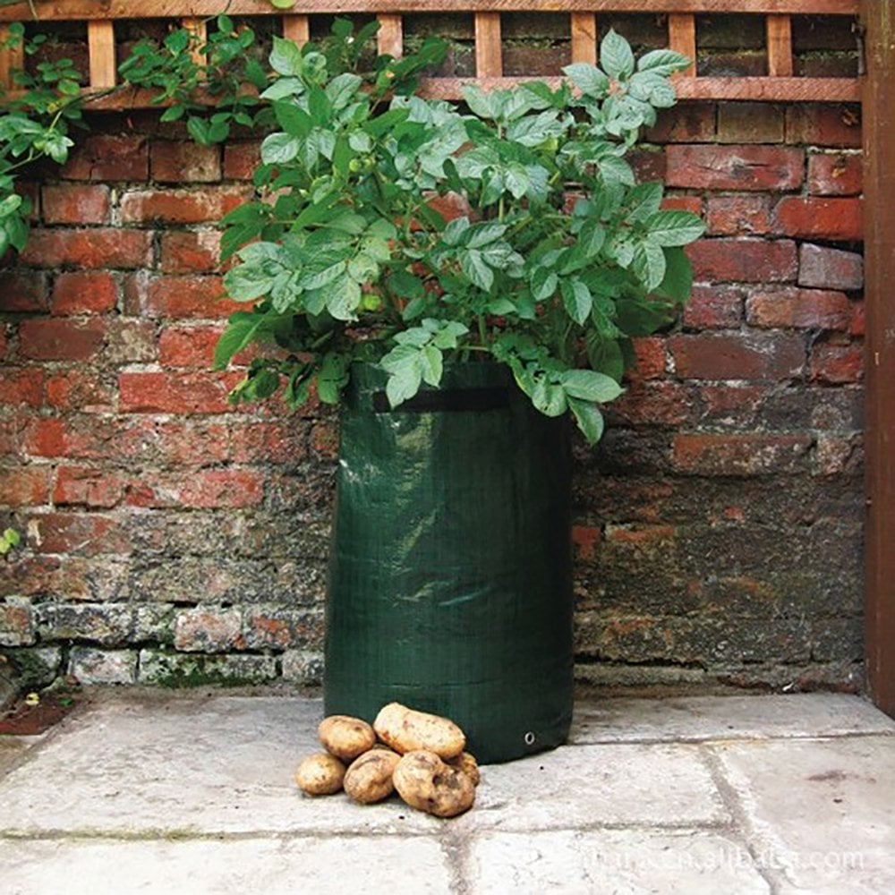 Mr.Garden 10 Gal Grow Bag,Potato Patio Planter Radish/Turnip Planter ...