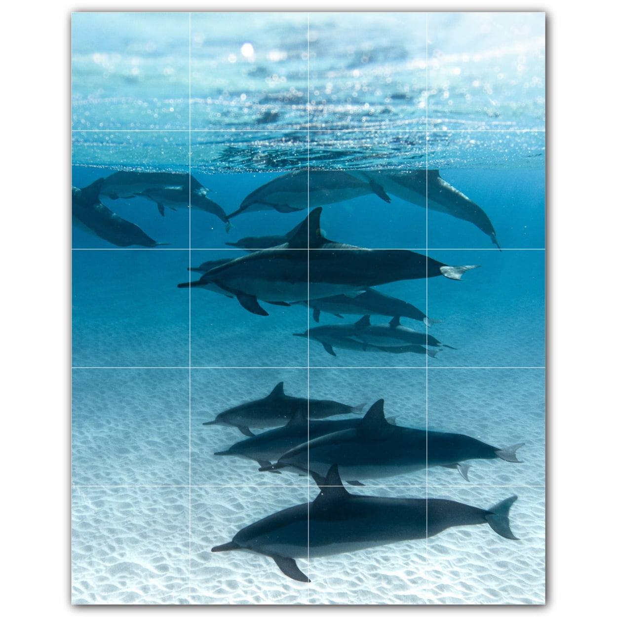 Picture-Tiles.com: Dolphin Ceramic Tile Wall Mural WAL500523-45XL. 48"W ...