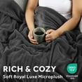 Visualz Electric Throw Royal Luxe Microplush Heated Blanket, 4 Heat ...