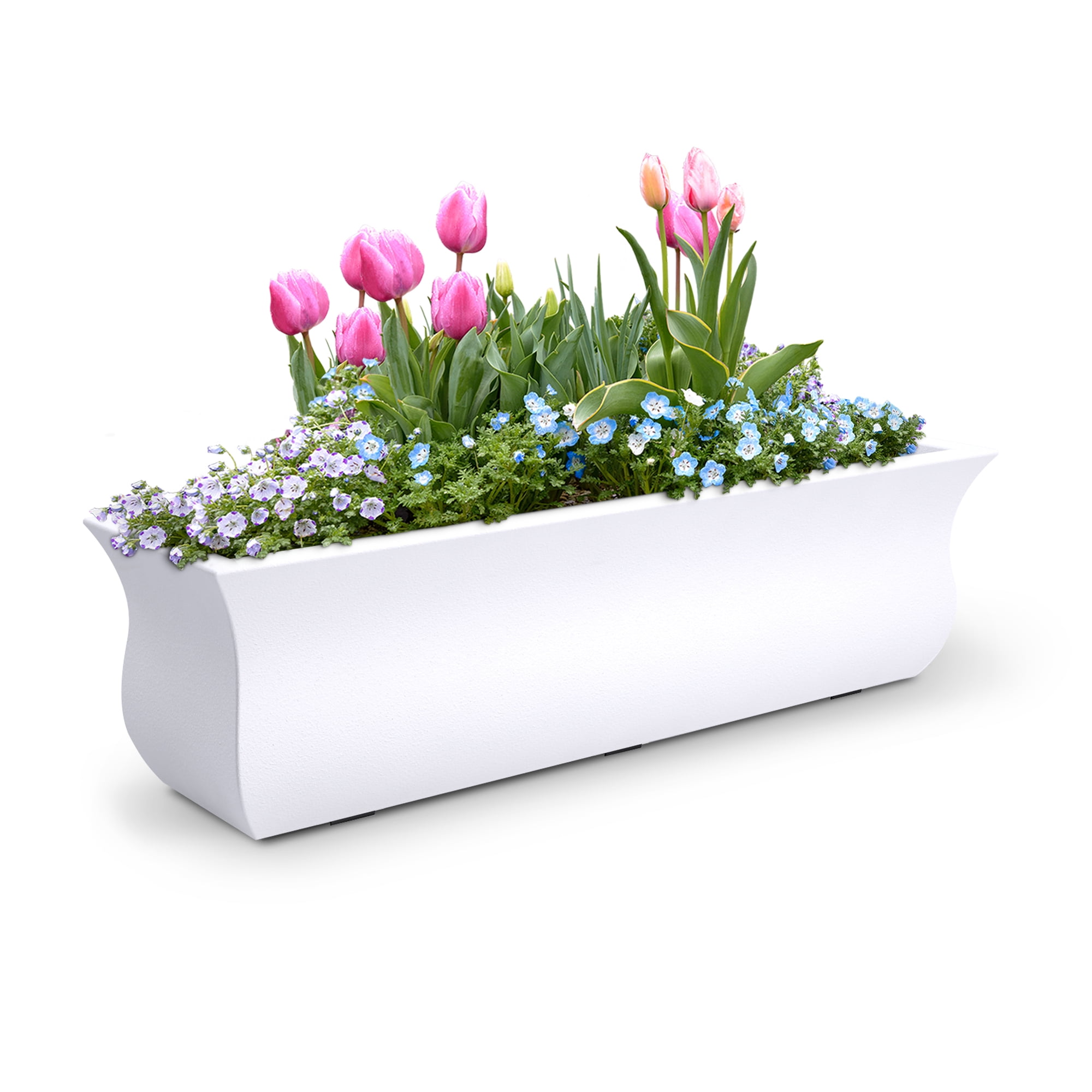 Long White Window Boxes at Zane Murray-prior blog