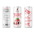 Elephant World 100% Natural Lychee Juice Canned | NON GMO | 10.8 oz ...