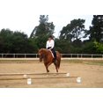 55 Corrective Exercises for Horses : Resolving Postural Problems ...