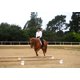 55 Corrective Exercises for Horses : Resolving Postural Problems ...