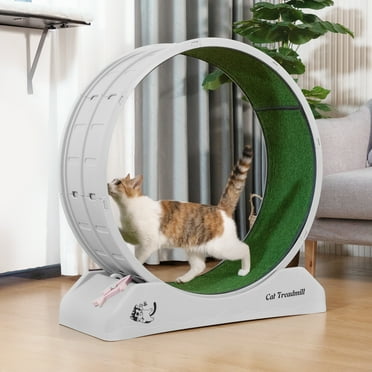 Pefilos 36" Cat Exercise Wheel for Indoor Cats, Cat Running Wheel with ...