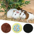 comerut Hamster Bed Good Elasticity Decorative Round Shape Comfortable ...