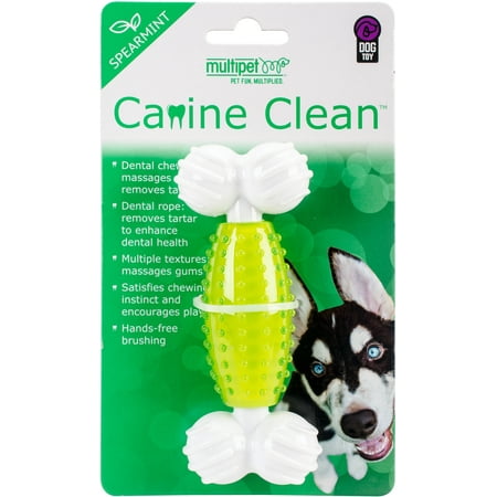 Multipet Canine Clean Bone 5"-Spearmint | Walmart Canada
