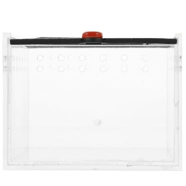 Spider Terrarium, Clear Acrylic Reptile Cage Habitat Insect Feeding Box ...