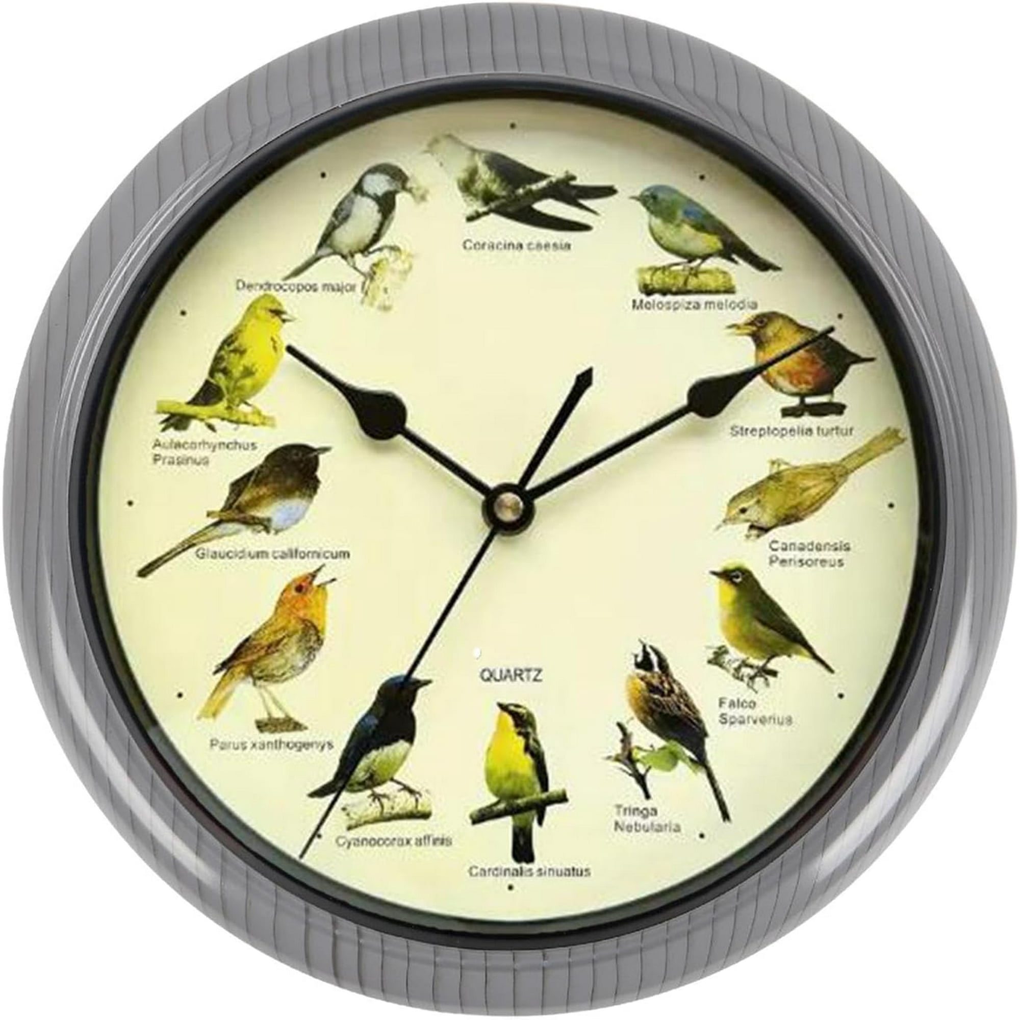 Click here for Nobrand Singing Wild Bird Wall Clock  Room Decorat... prices