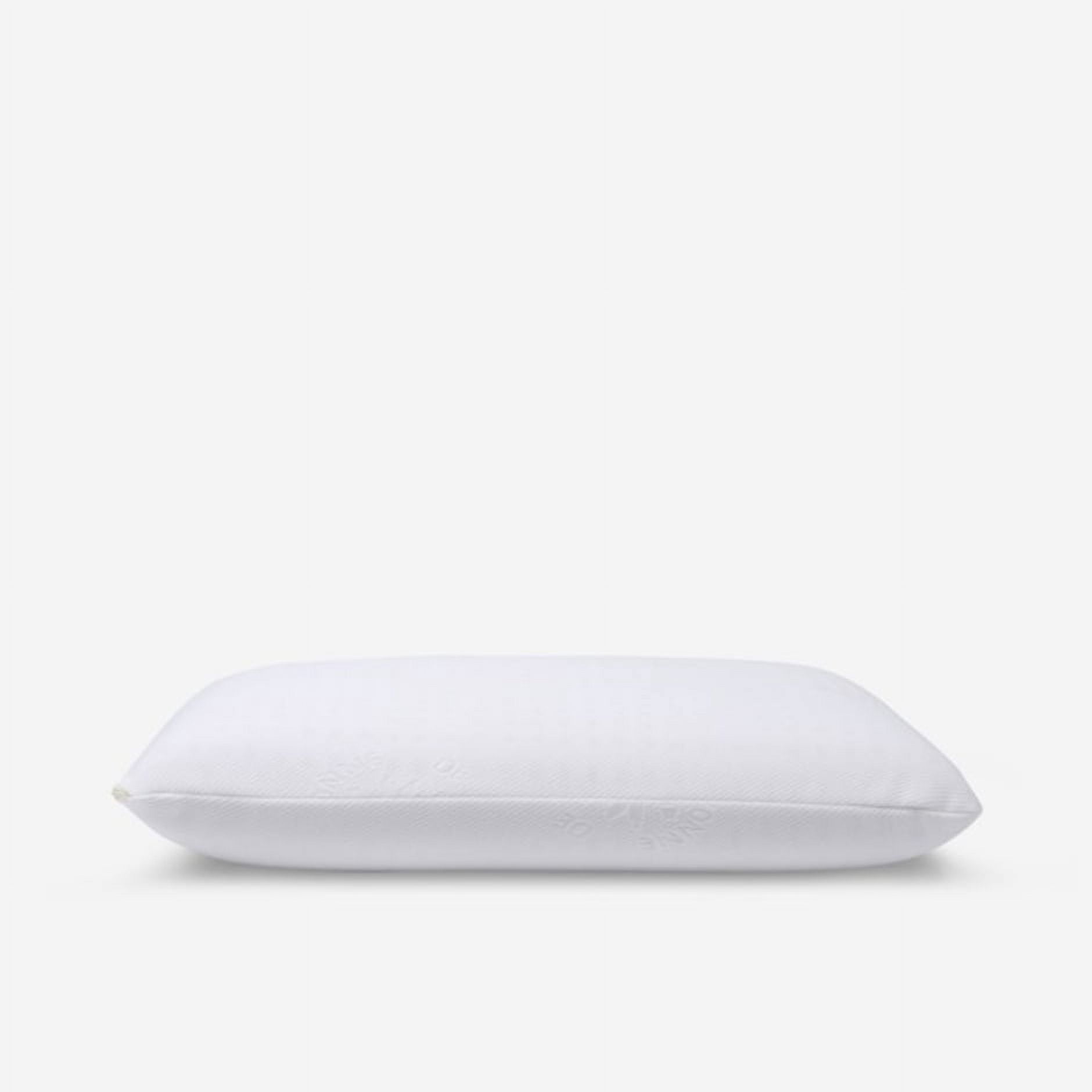 Sleep Country Aquagel™ Pillow - Breathable Italian Water-Based Foam Gel ...