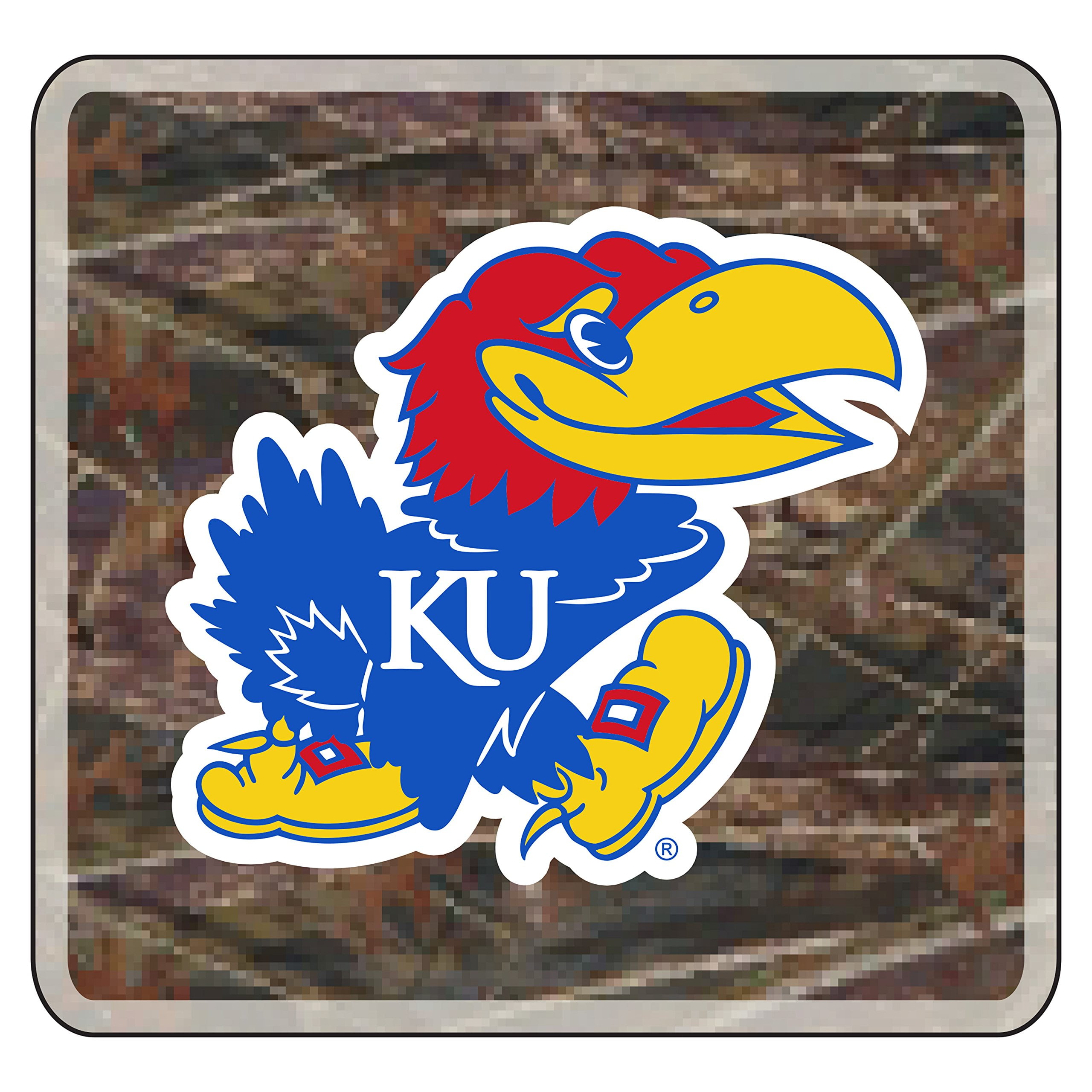 Jayhawk Real Bird