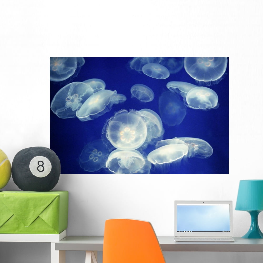 Aquarium 5 Wall Mural Decal Sticker, Wallmonkeys Peel & Stick Vinyl ...