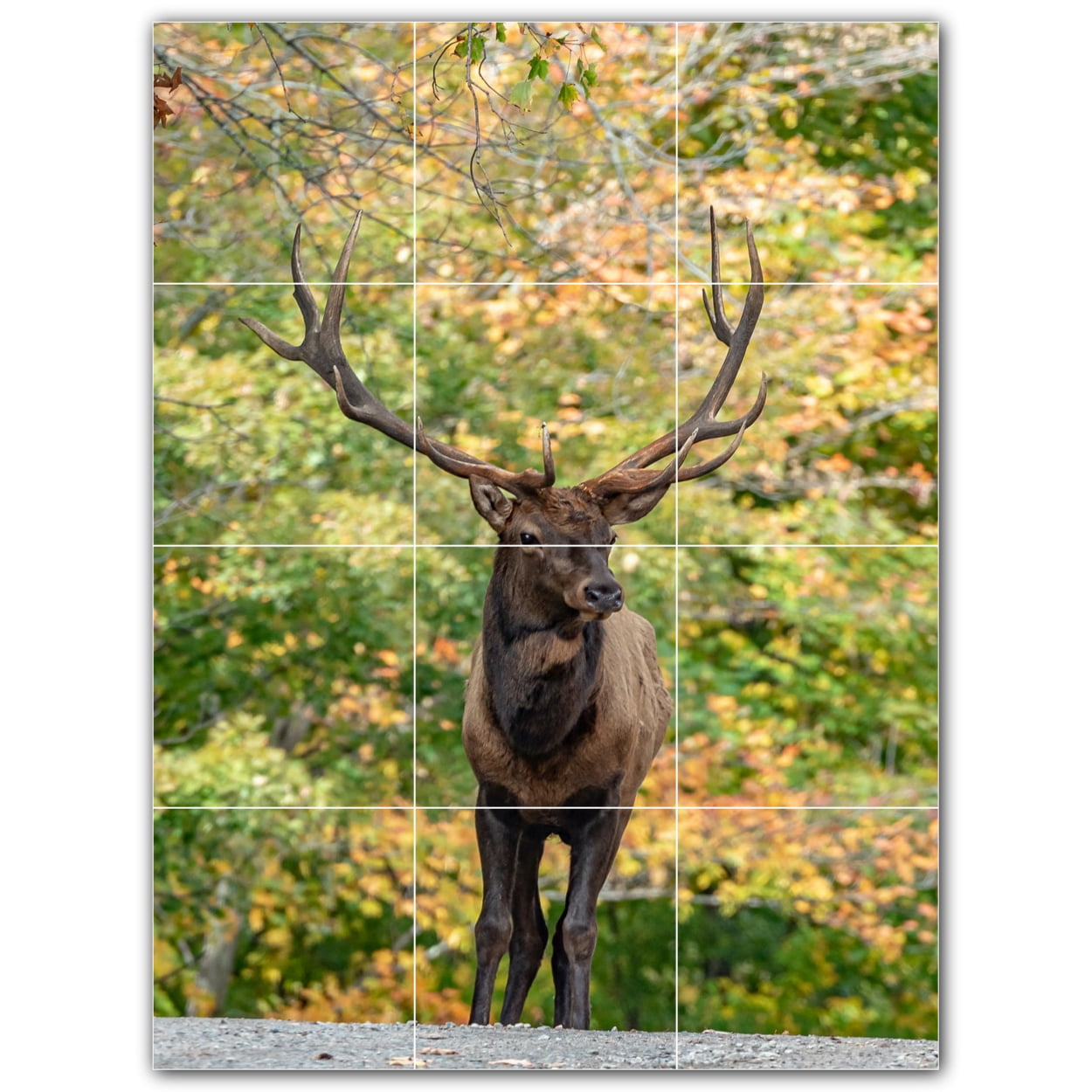 Picture-Tiles.com: Deer Ceramic Tile Wall Mural WAL500457-34M. 18"W x ...