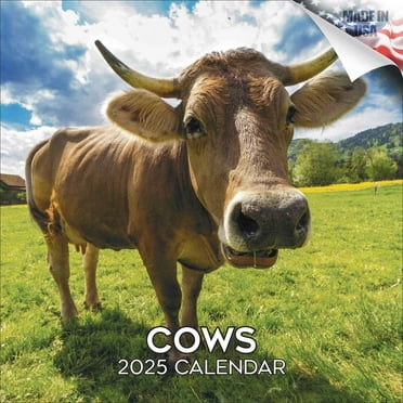 Lang Companies, Cows Cows Cows by Lowell Herrero 2025 Wall Calendar ...