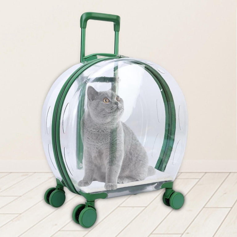 Ventilated Pet Carrier For Cats Up To 19.8 Lbs Clear Cat Carrier With ...