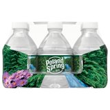 POLAND SPRING 100% Natural Spring Water, 8-ounce Mini Bottles - Pack of ...