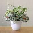 TUWAFE 2026 New 10.2” Artificial Bonsai in Green Grass Plastic Pot for ...