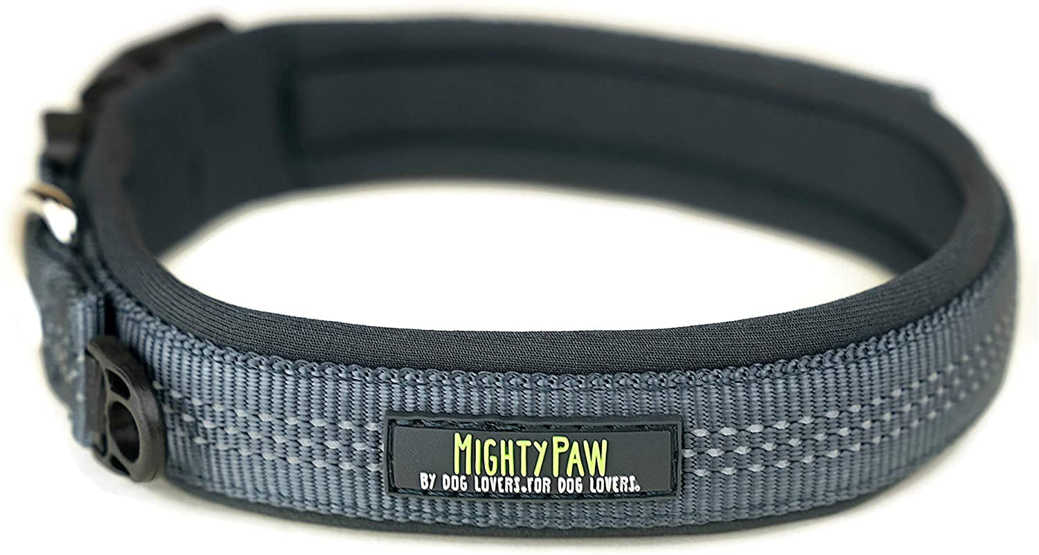 Mighty Paw Neoprene Padded Dog Collar, Sports Collar with Reflective ...