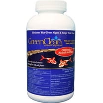GreenClean Granular Pond Algae Eliminator Clear Treatment - 2.5 lbs ...