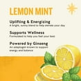 Celestial Seasonings Wellness Good Vibes Lemon Mint Herbal Tea Bags (16 ...