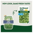 Earthbound Farm Ebf Greenhouse Crisp Lettuce 8oz - Walmart.com