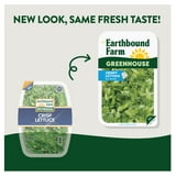Earthbound Farm Ebf Greenhouse Crisp Lettuce 8oz - Walmart.com